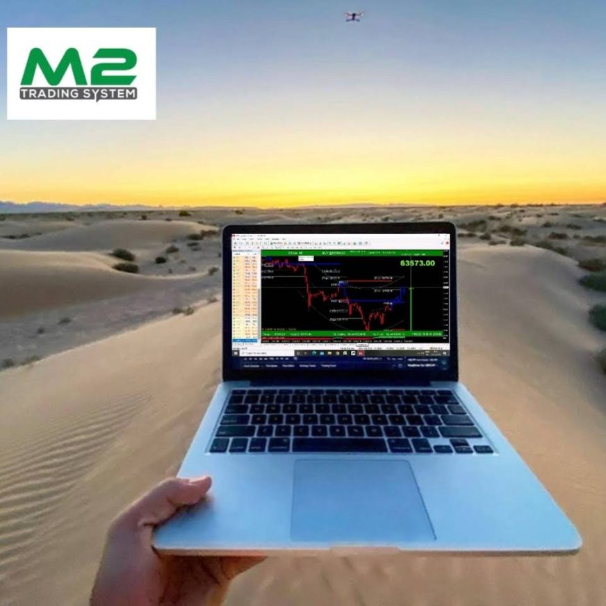 Charts of stock market prediction software-M2 Trading system